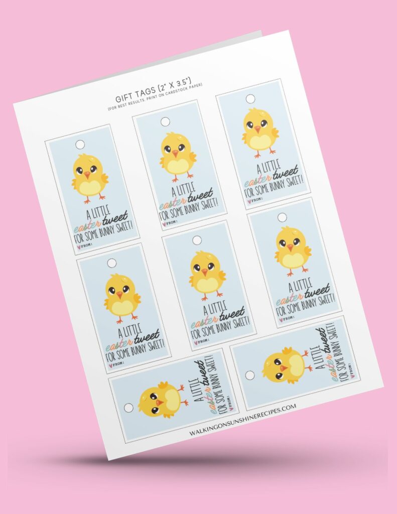 Cute Easter Chicks Gift Tags